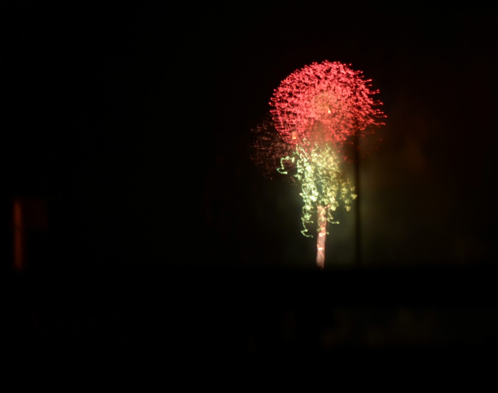 Feature Photos: Fourth of July Fireworks Over Mobile Alabama 2013 | The ...