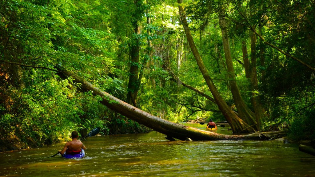Autauga Creek: One of the Cleanest, Most Accessed Urban Streams in ...